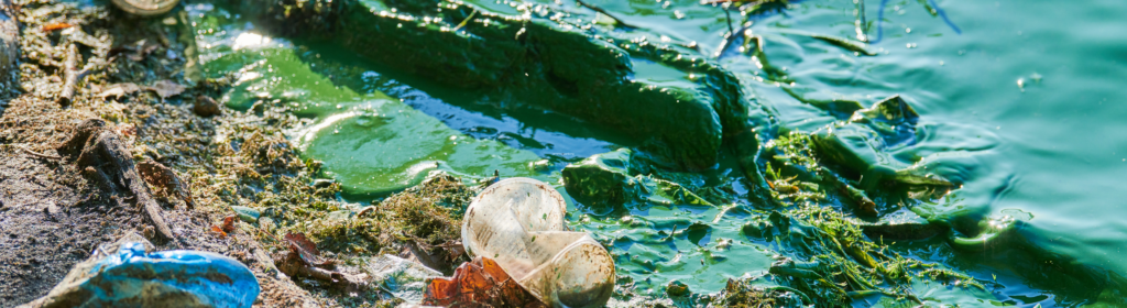 The winners and losers in the race against water contamination ...